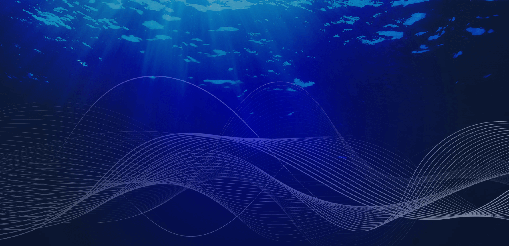 La pollution sonore perturbe grandement les espèces marines