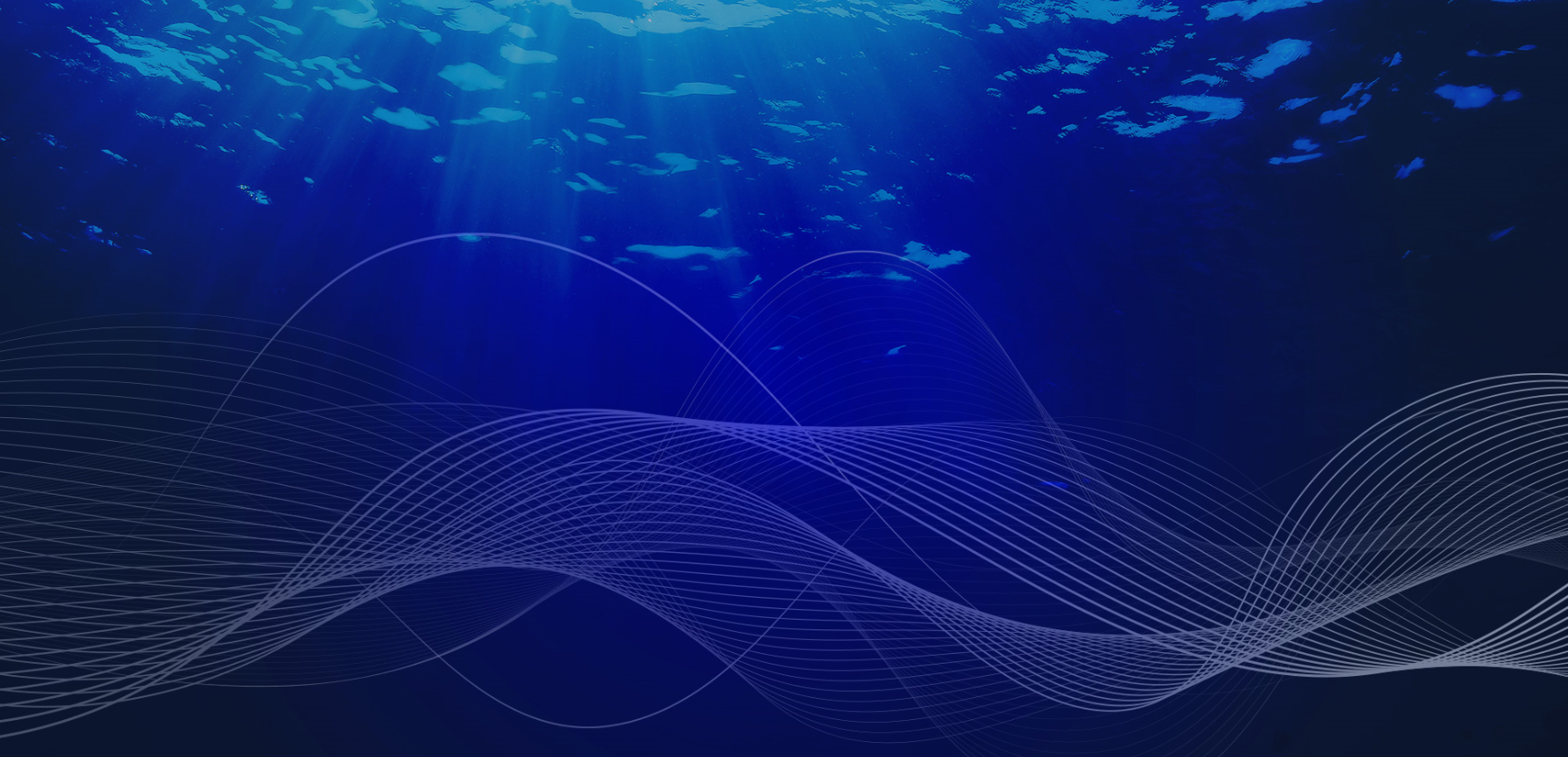 Noise pollution greatly disturbs marine species