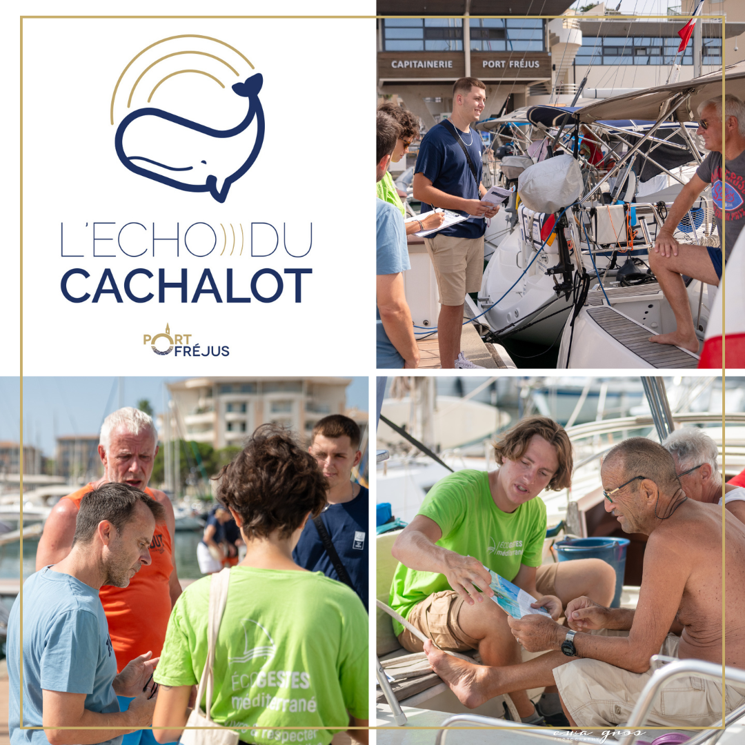 L’ÉCHO DU CACHALOT ÉDITION 2025 - Actualité de Port Fréjus
